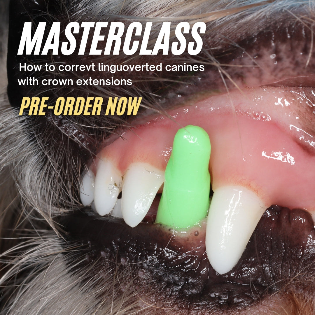 How to correct linguoverted canines with crown extensions - PRE-ORDER ...