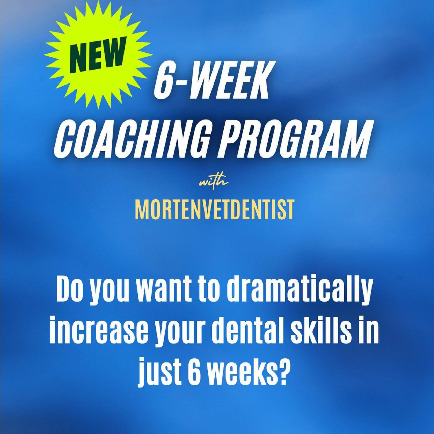 6 week Coaching Program – MortenVetDentist